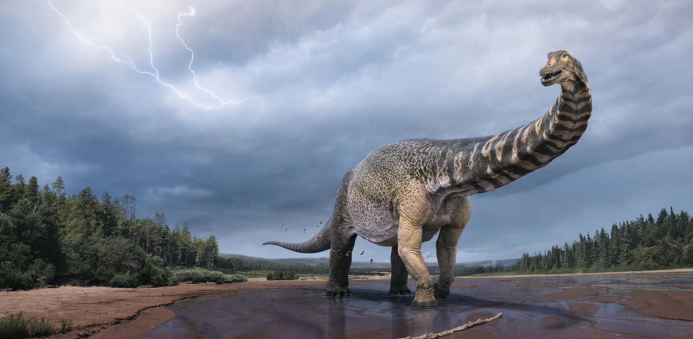 Dinosaurie i söder en av de största någonsin