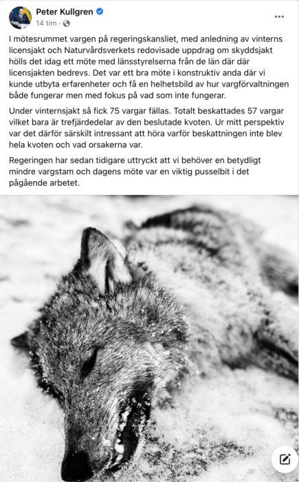» Kullgren diskuterar utökad vargjakt med landshövdingar