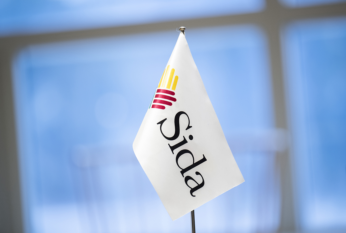 Sida ska främja återvändande – "Rimmar illa med övergripande mål" - Syre