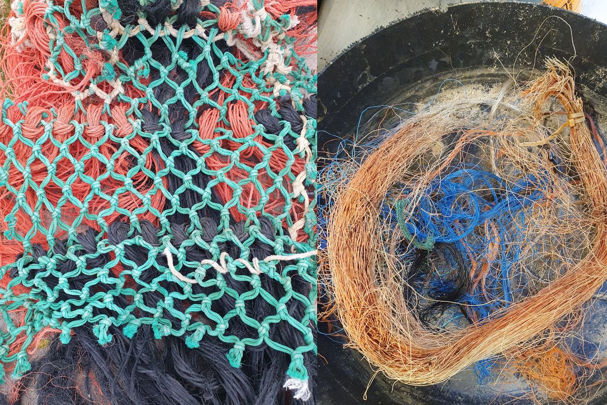 ”Dolly ropes” skräpar ned på västkusten - Syre