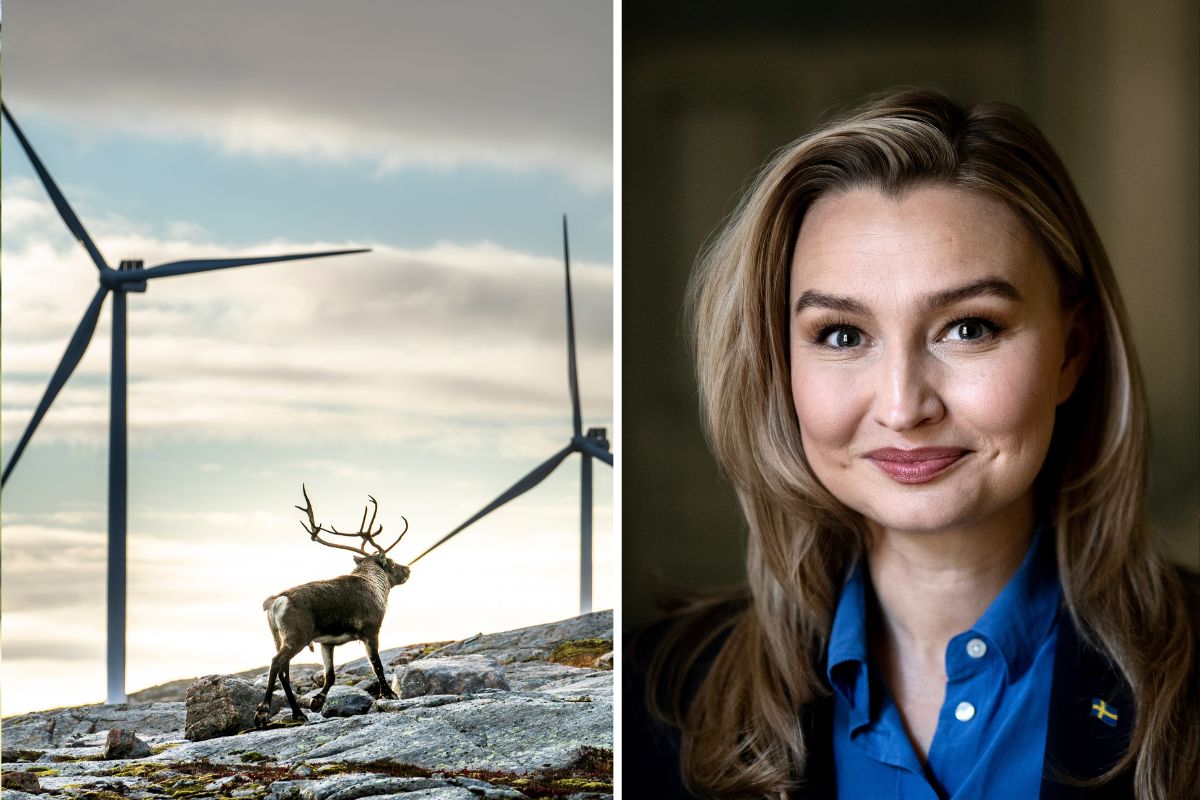 KD:s förslag hotar det som redan trängts undan - Syre